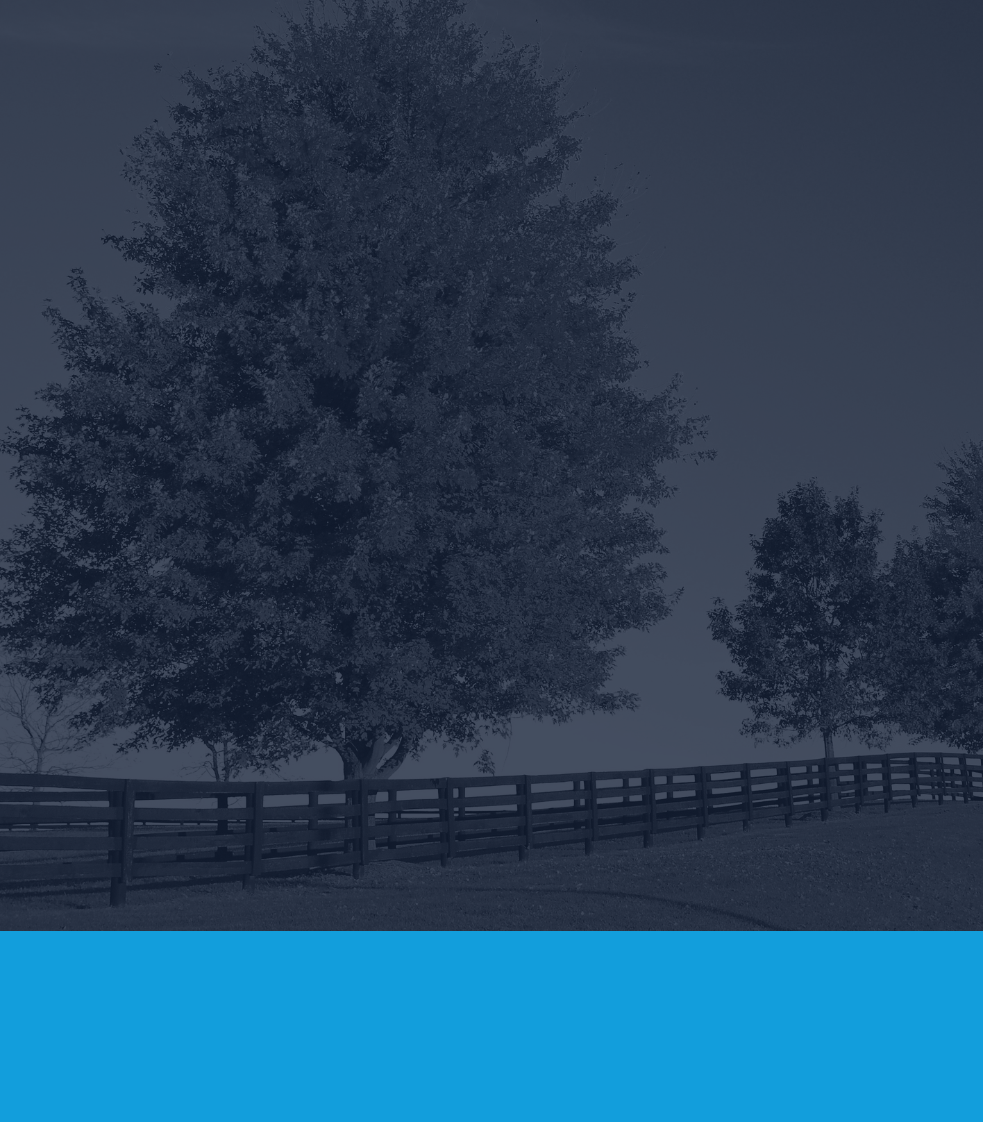 Concordia announces its 2022 Lexington Summit Task Force | Concordia