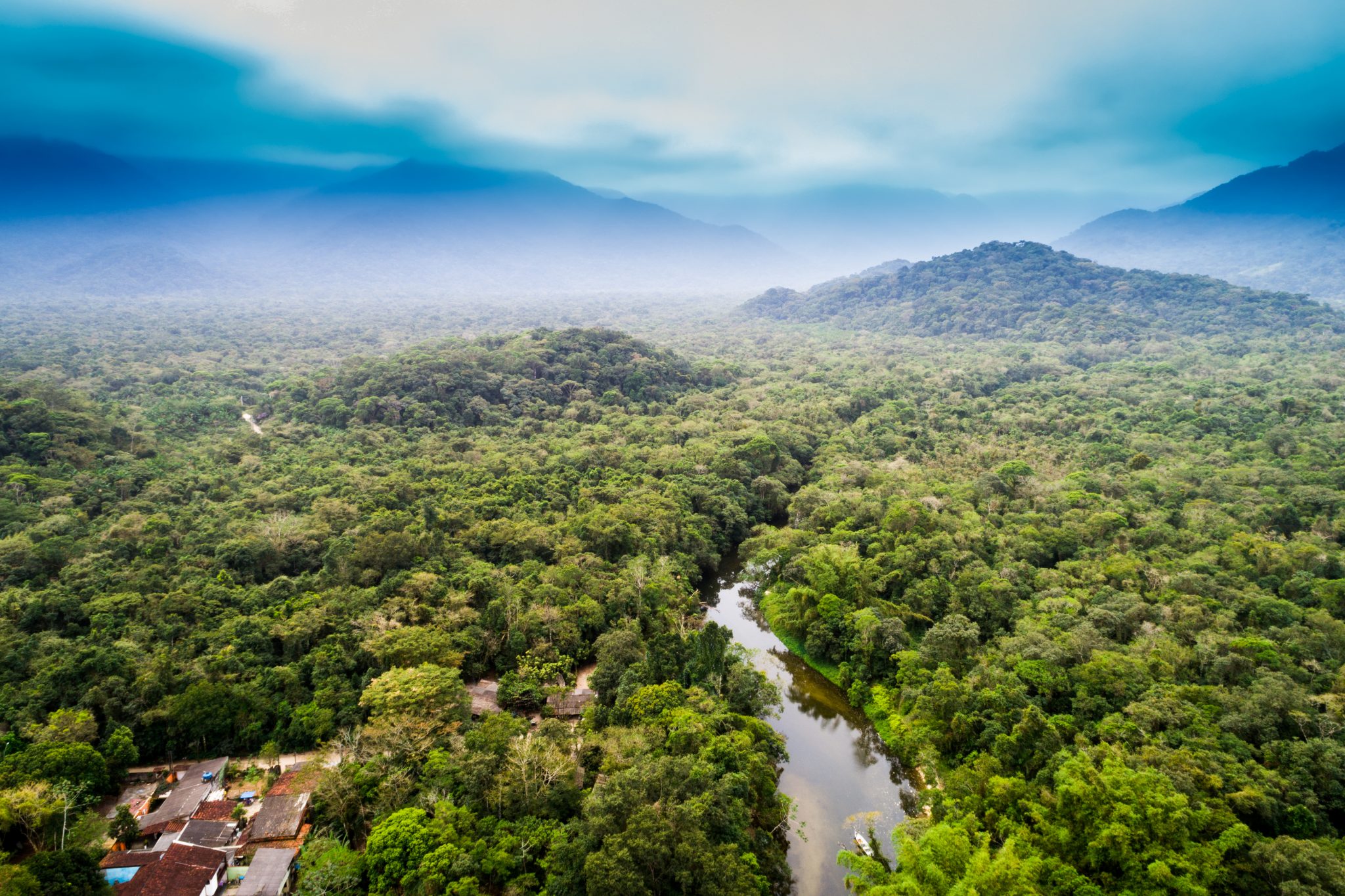 Aerial View of Amazon Rainforest, South America | Concordia